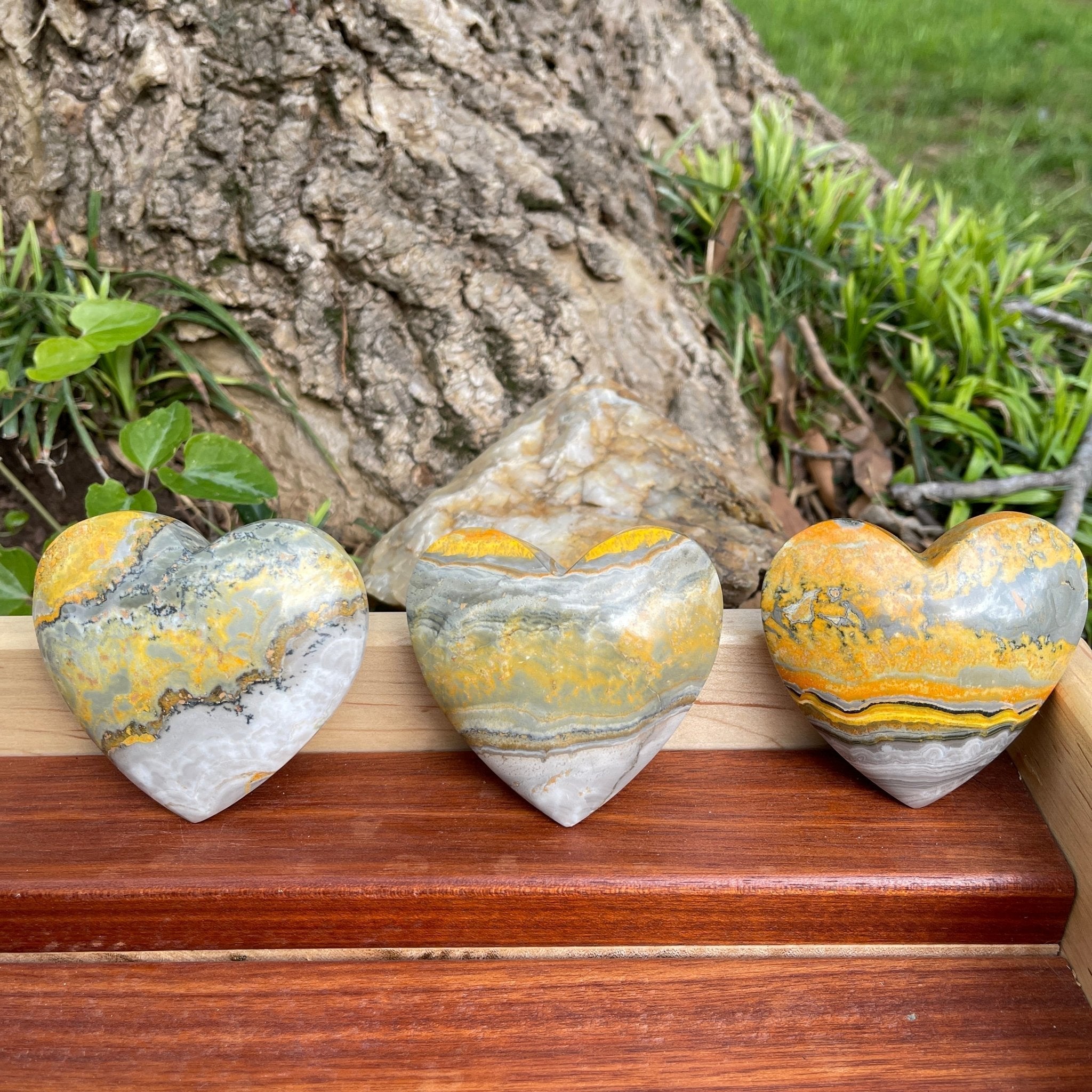 Discover the Transformative Power of Bumblebee Jasper | Healing Stone ...