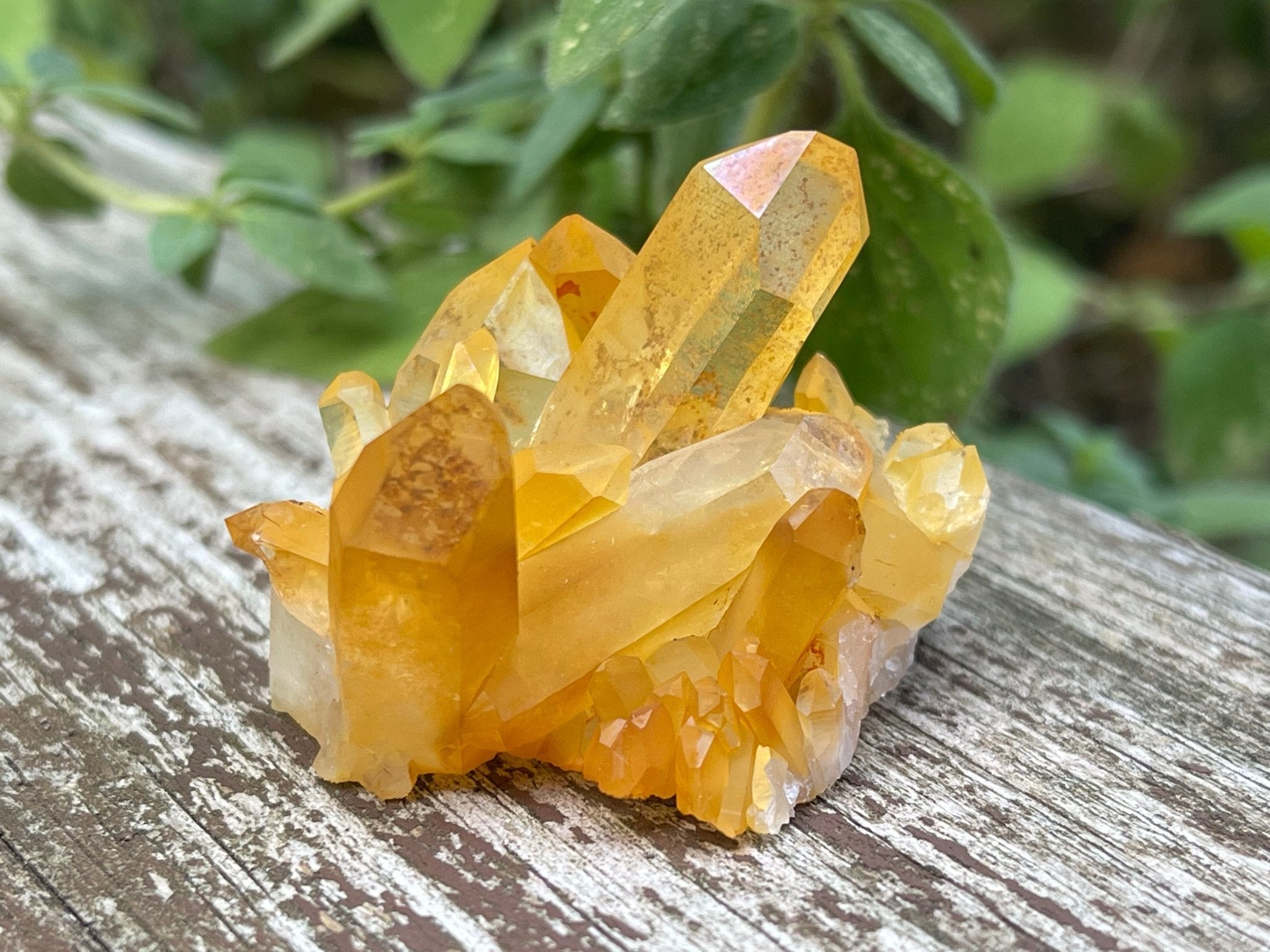 The Power of the Golden Healer Stone – Healing Stone Beings