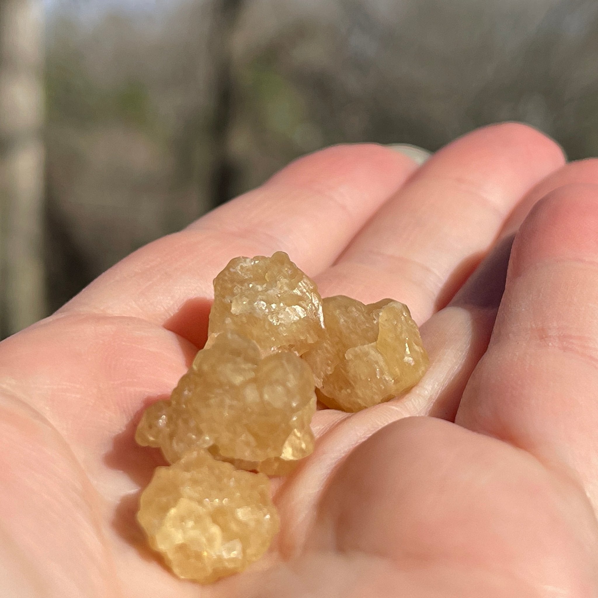 Stand Strong with Confidence - Harness the Power of Garnet – Healing ...